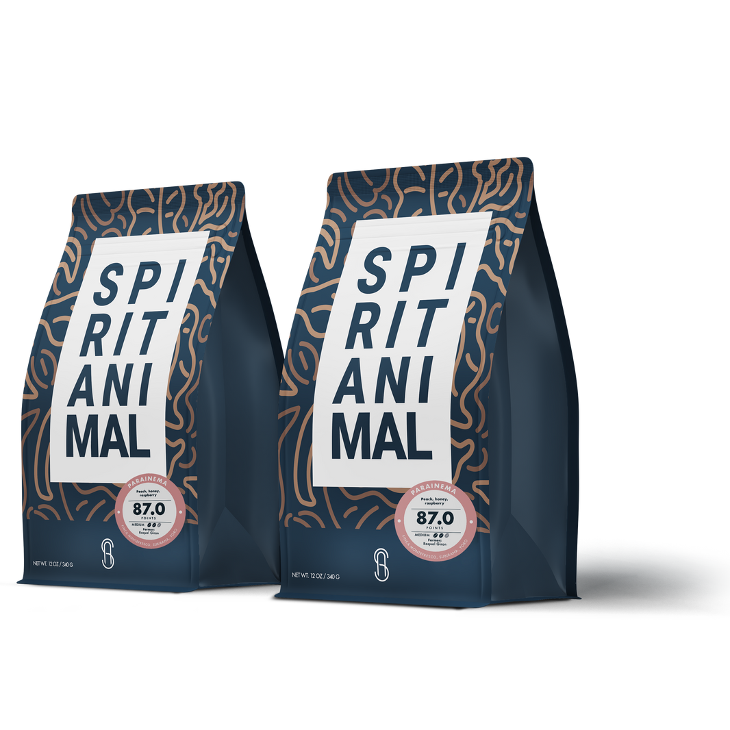 What Is Geisha Coffee And What Makes It Unique? – Spirit Animal Coffee