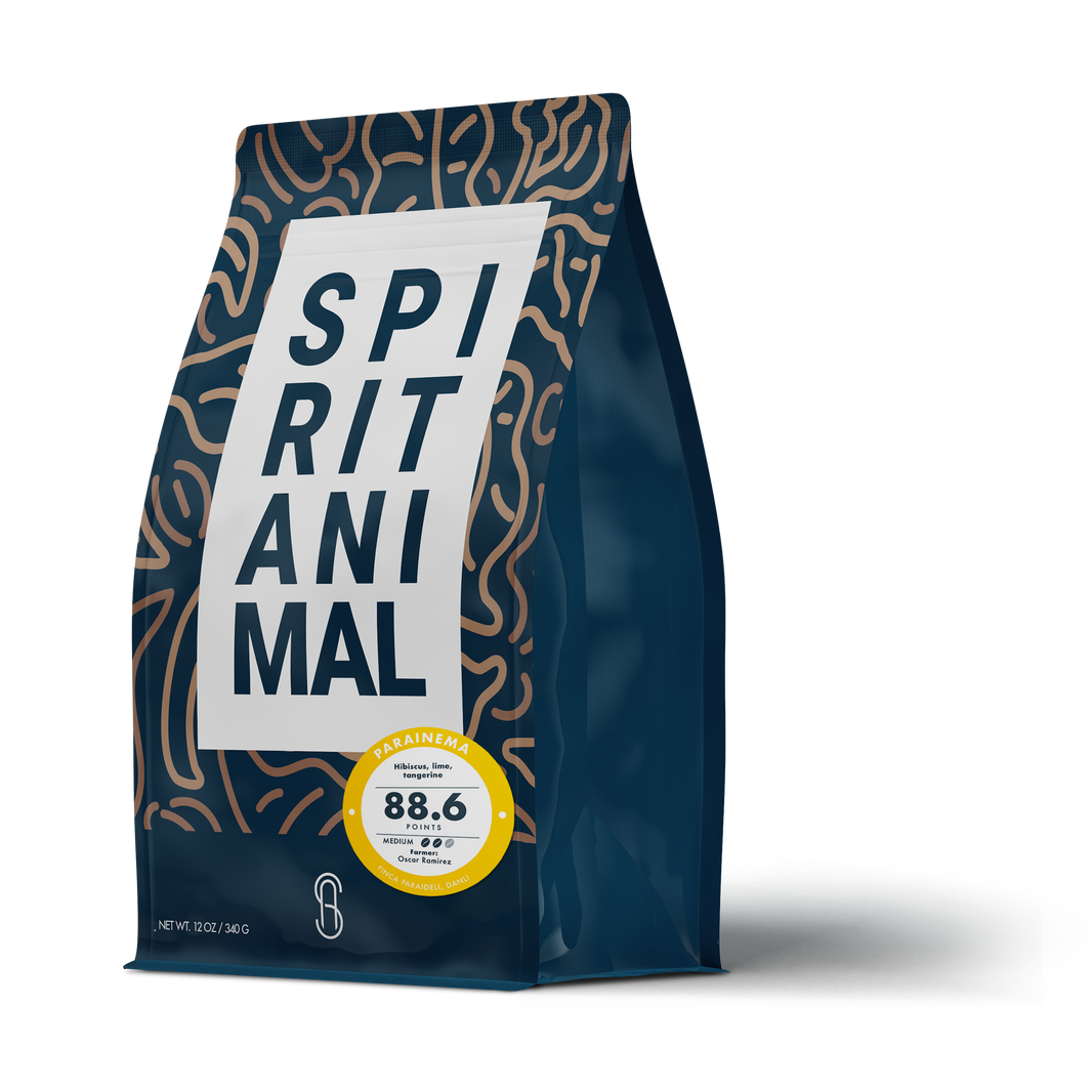 What Is Geisha Coffee And What Makes It Unique? – Spirit Animal Coffee